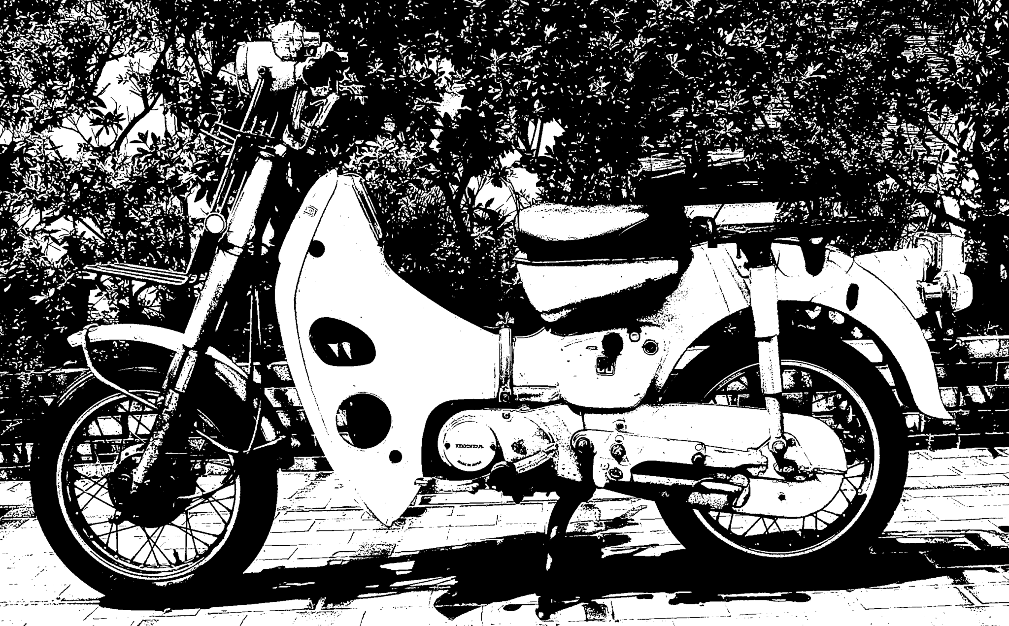 納車されたMD50を詳しく観察してみる。年式判明！どうやら結構なレア車両かも | 4miniあそぶ